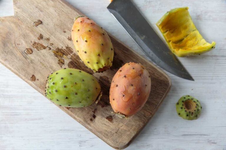 ¿Qué es la Tuna y cuáles son sus beneficios para la salud?